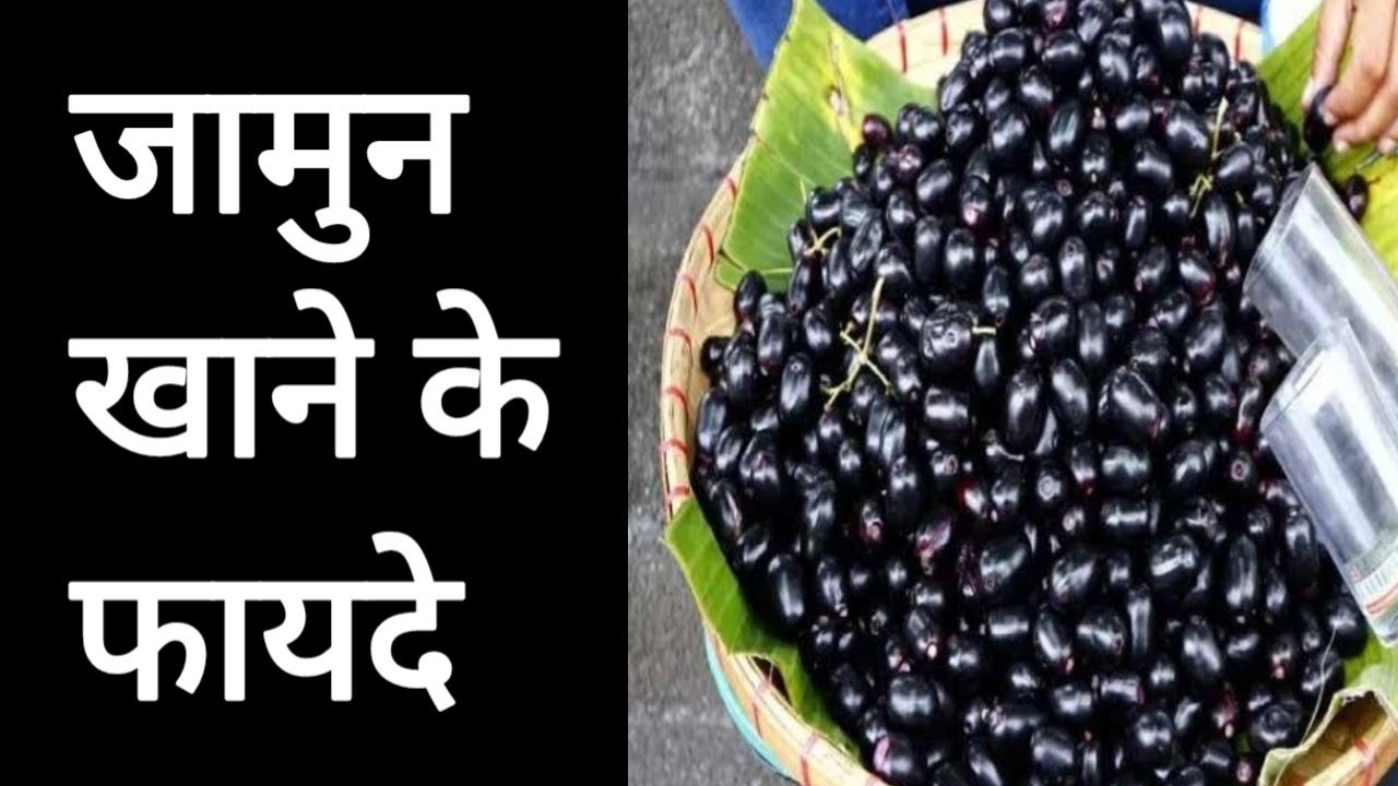 Jamun khane ke fayde | Jamun ke fayde | Jamun benefits in hindi| जामुन ...