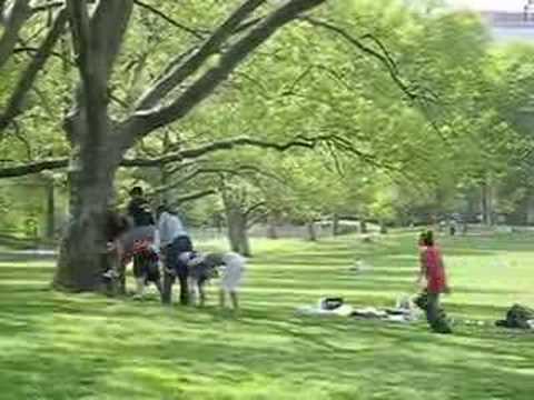 Randomest thing ever... - YouTube