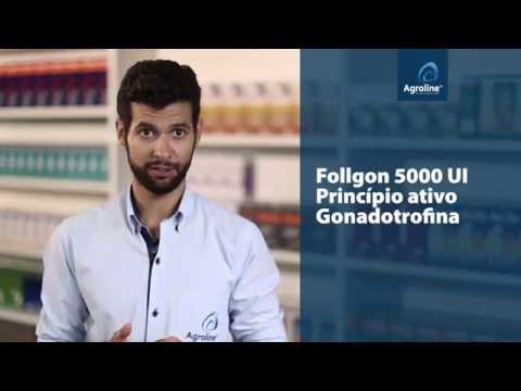 Conheça o Folligon 5.000 UI MSD - agroline.com.br - YouTube