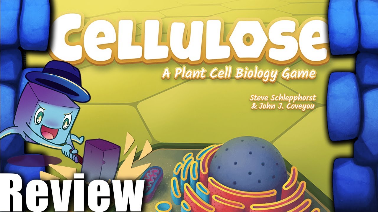 Cellulose: A Plant Cell Biology Game Review with Tom Vasel - YouTube
