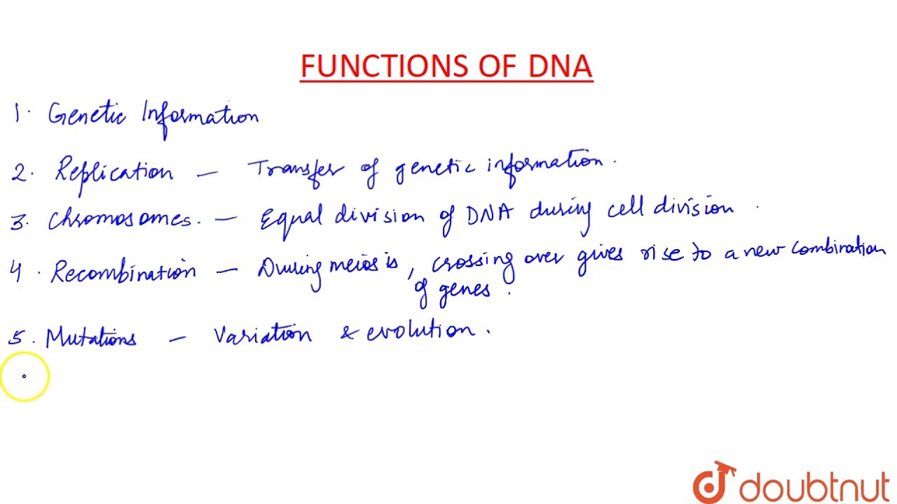 Dna Function