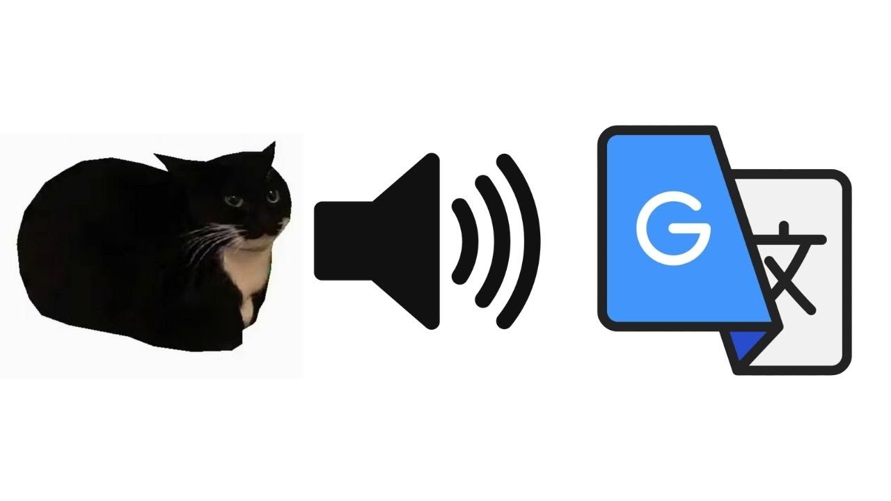 maxwell cat song VS GOOGLE TRANSLATE funny video meme - YouTube
