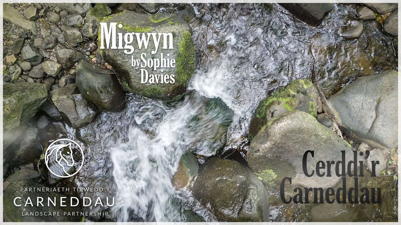 Cerddi'r Carneddau - Migwyn by Sophie Davis - YouTube