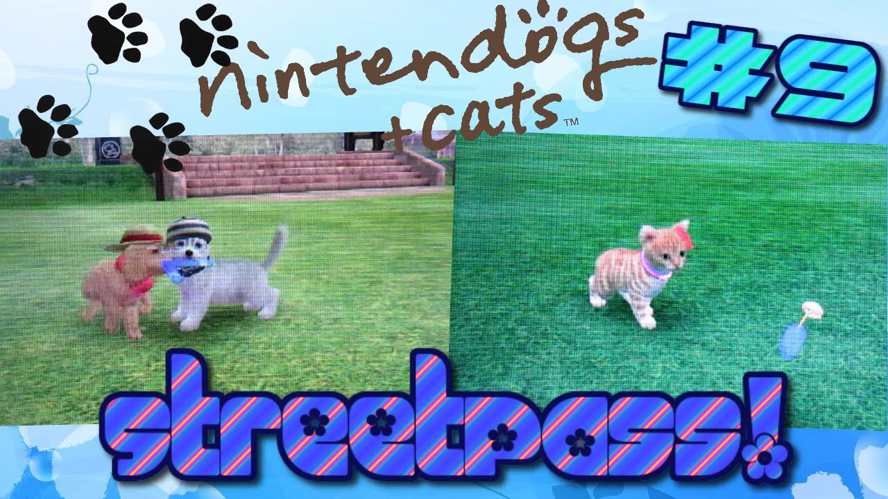 Nintendogs + Cats: So many streetpass hits! (#9) - YouTube
