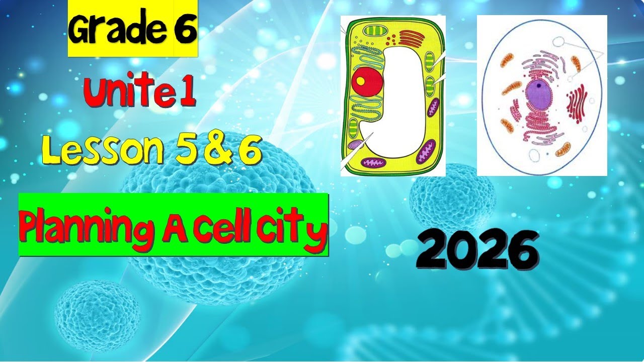 شرح Science سادسة ابتدائي | Planning a Cell City | المنهج الجديد 2026 ...