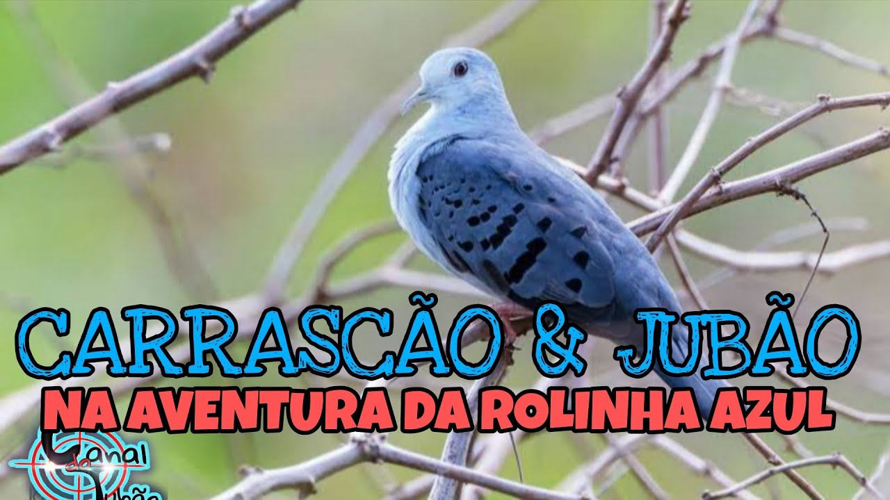 CARRASCÃO E JUBÃO,NA AVENTURA DA ROLINHA AZUL - YouTube