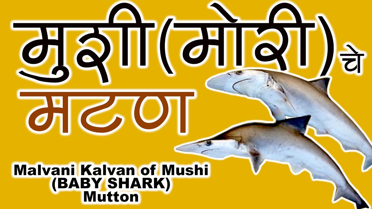 मुशी ( मोरी ) मटण चा मालवणी कालवण | Malvani Kalvan of Mushi (Baby Shark ...