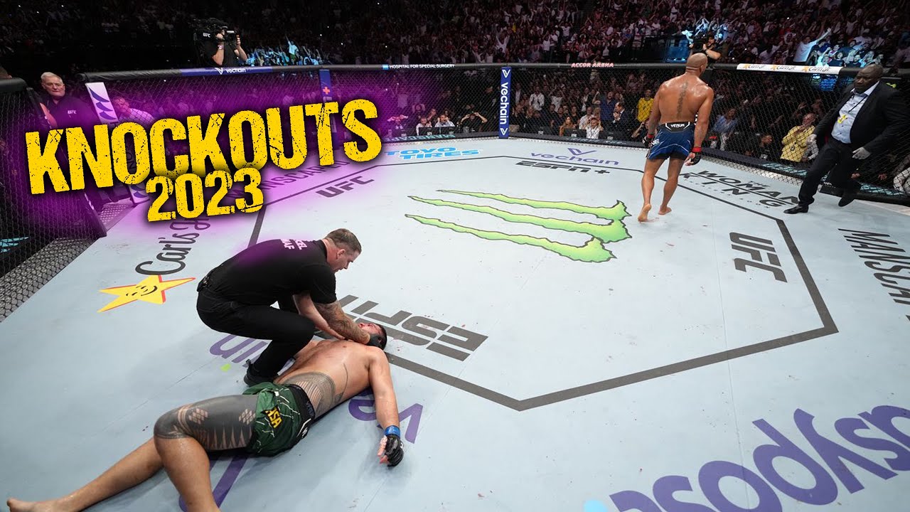 Best MMA Knockouts Part 1 2023 fights - YouTube