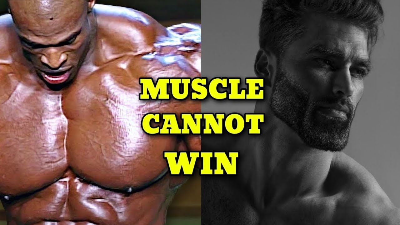 Stop working out ( muscle cannot win a fight) - YouTube