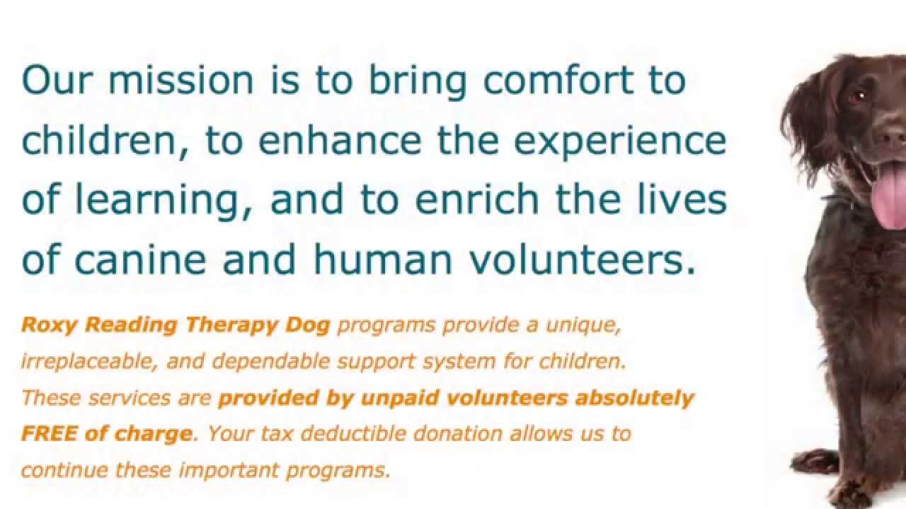 Roxy Reading Therapy Dogs Courthouse Program - YouTube