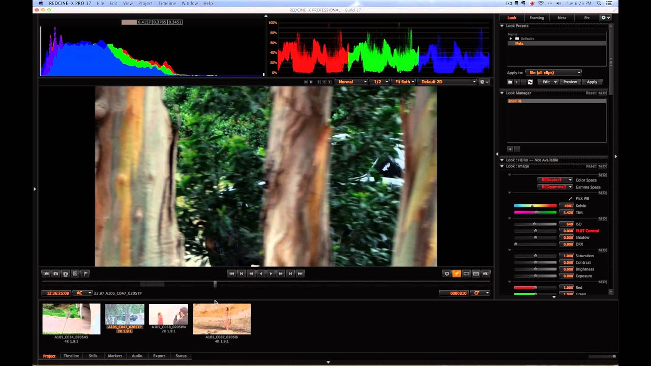 RED Tutorial 2 - First Pass Color REDCINE - YouTube