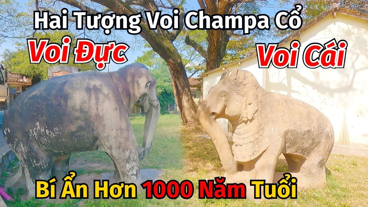 Cận cảnh Bí Ẩn hai Con Voi Đá Champa hơn 1000 năm tuổi tồn tại không ...