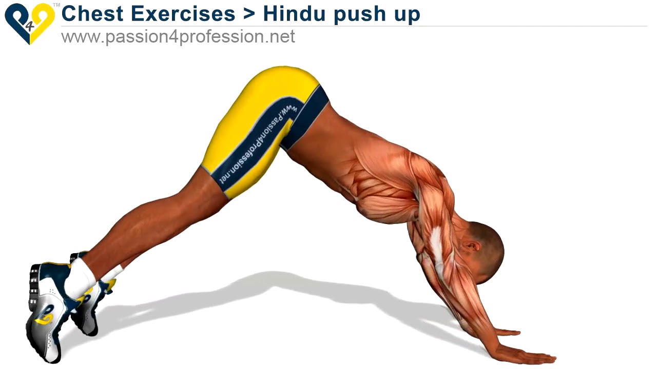 Push Ups For Training Shoulders Triceps And Chest - YouTube