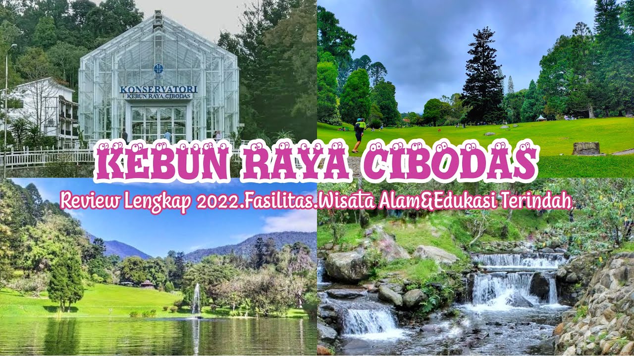 LIBURAN MURAH MERIAH‼️REVIEW LENGKAP TERBARU KEBUN RAYA CIBODAS PUNCAK ...