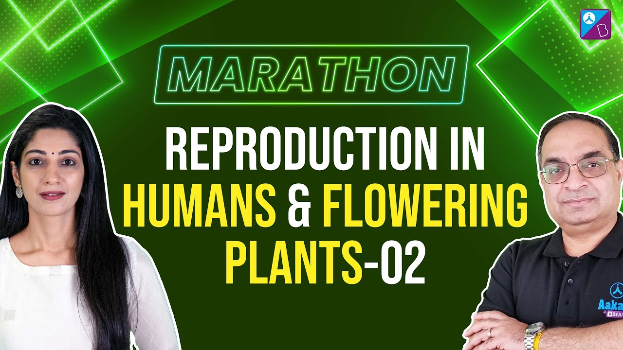 Human Reproduction & Sexual Reproduction in Flowering Plants Class 12 ...