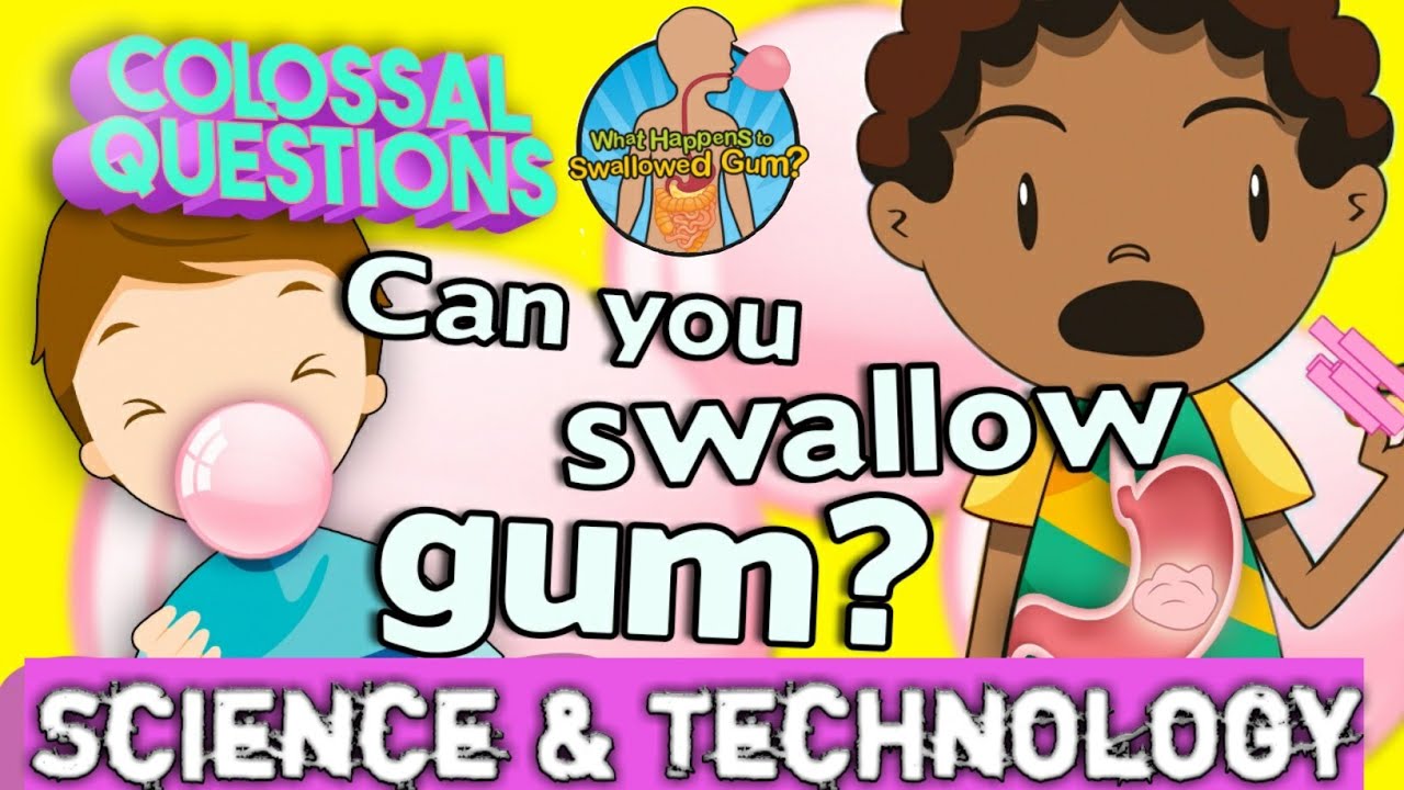What happens when you Swallon Gum? | Chewing gum | Science & Technology ...