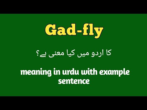 Gad-fly meaning in urfu/hindi |How to pronounce Gad-fly |gadfly in ...