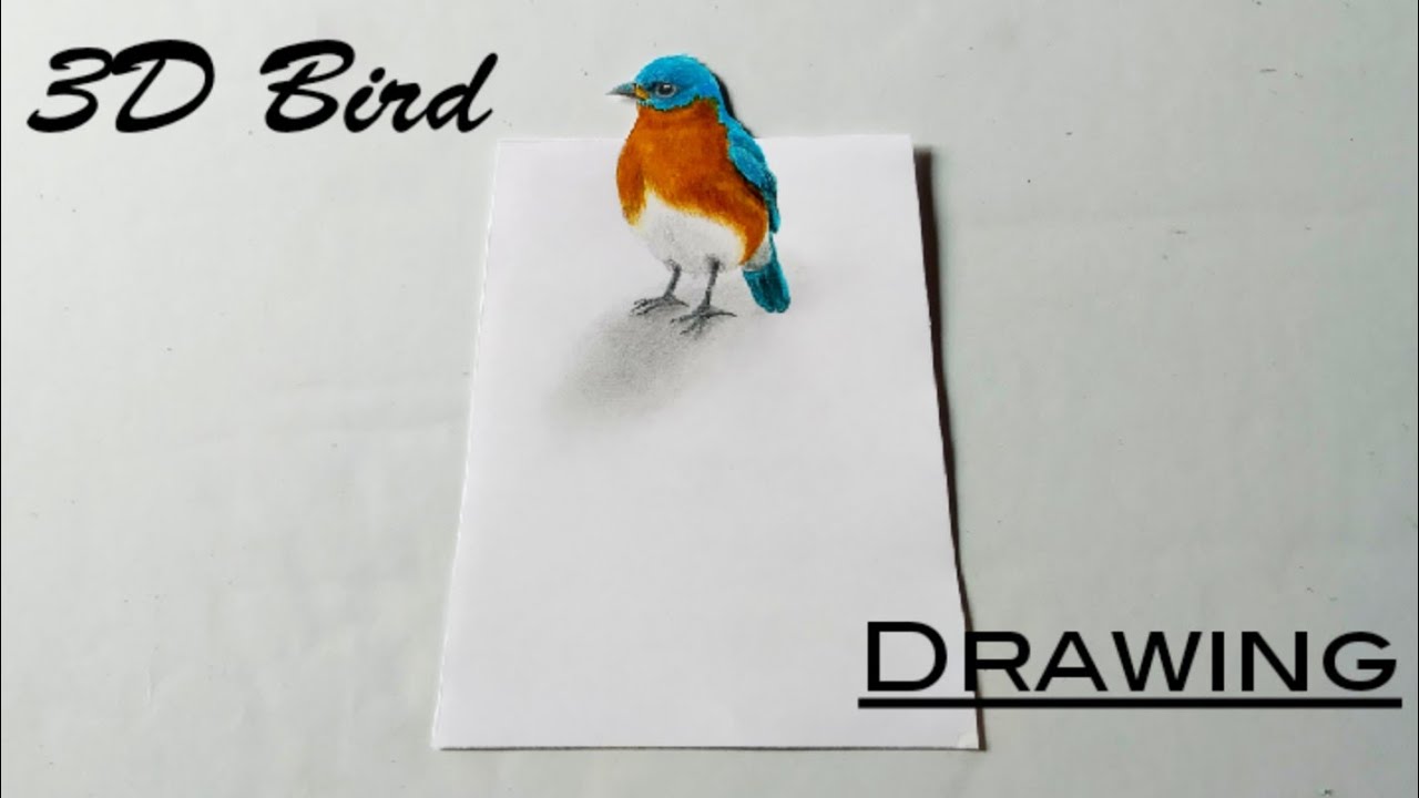 How To Draw 3D Bird Drawing || 3D Drawing || Colored Pencils Drawing ...