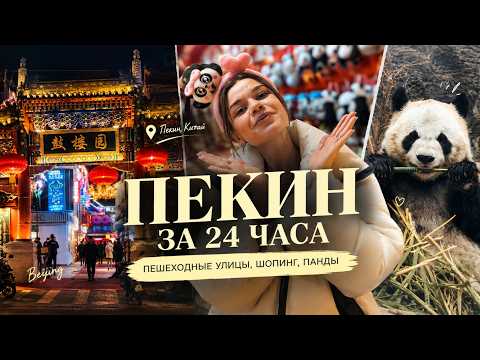 ПЕКИН ЗА 24 ЧАСА 🇨🇳 Большой влог: пешеходные улицы, шопинг, панды и роботы