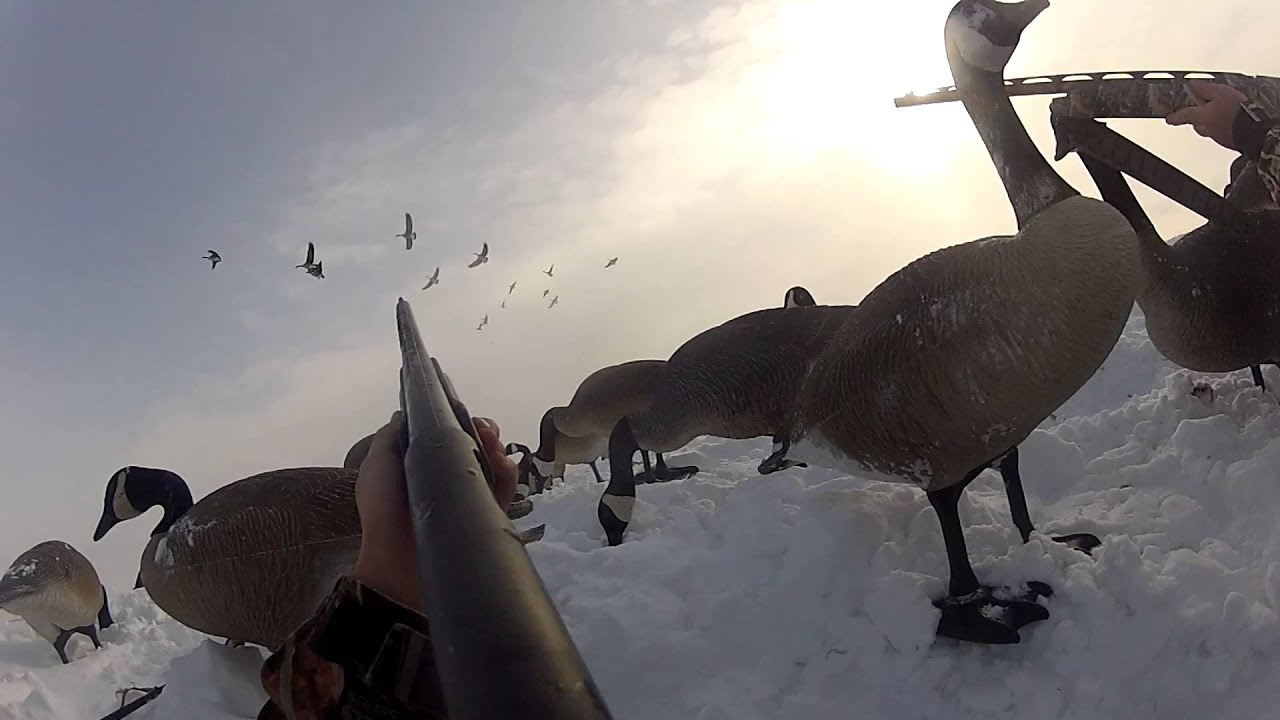 Hunting geese after a early November snow storm in Western, Mn - YouTube