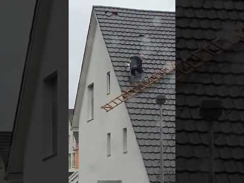 Ladder Breaks on Roof, Man Gets A Close Call [Graphic Content] - YouTube