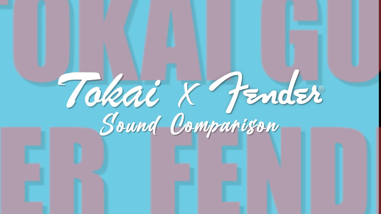 Fender with Tokai Guitar in Stratocaster Comparison, Which One Do You ...
