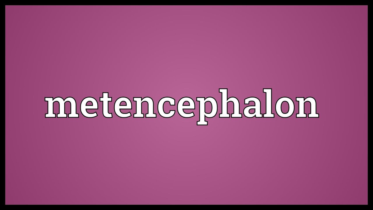 Metencephalon Meaning - YouTube
