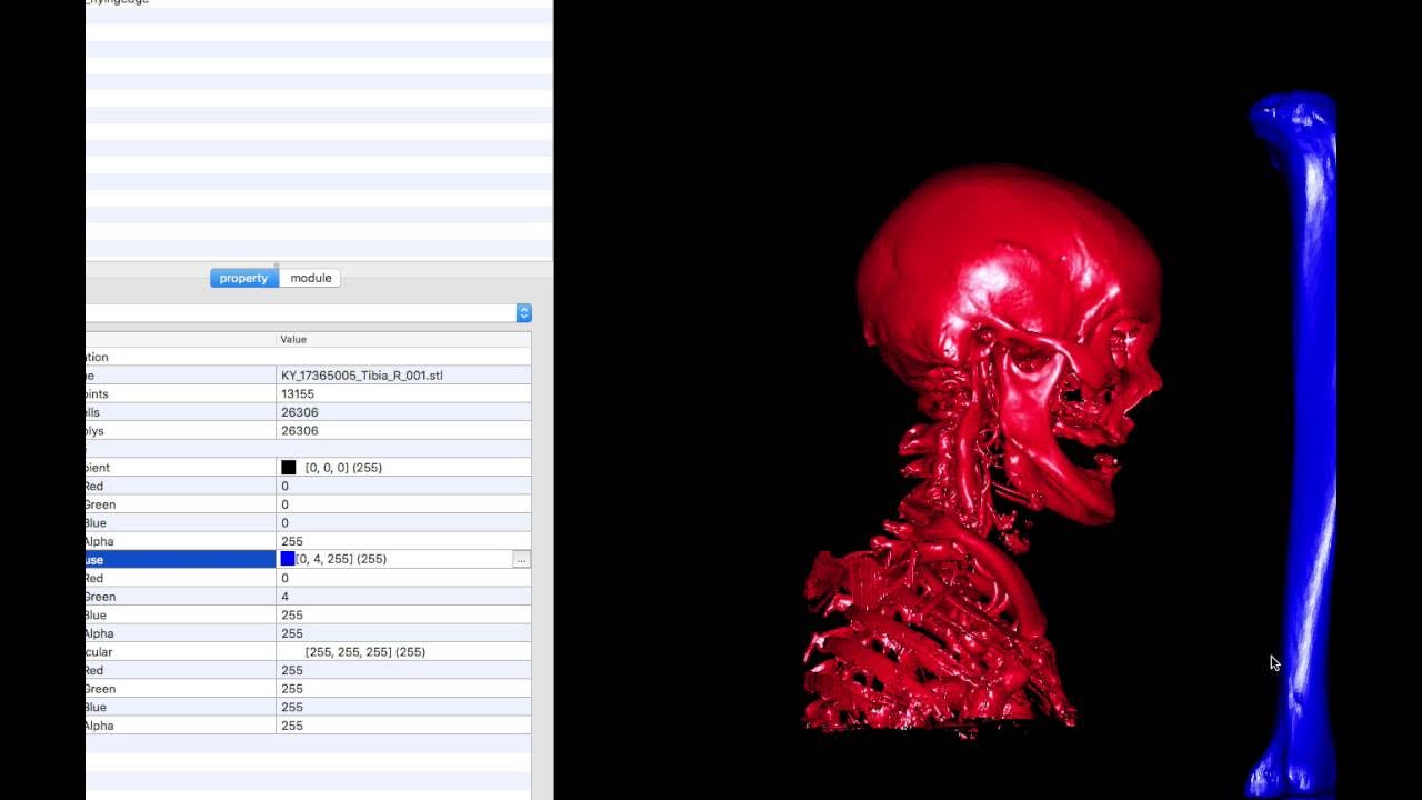 VTK Custom Shader - phong shading - YouTube