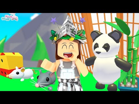 LIVE ATUALIZAÇÃO ADOPT ME NOVOS PETS PANDAS E RATOS (Roblox) - YouTube