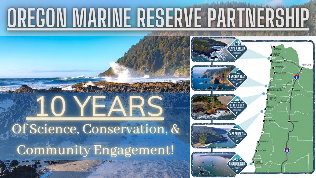 Oregon's Marine Reserves! What Have We Learned From 10 Years? - YouTube