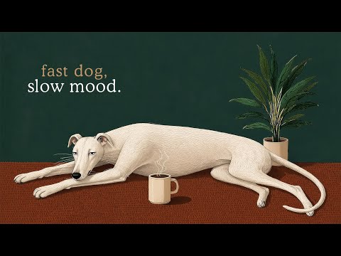 Fast Dog, Slow Mood — Vintage Noir Jazz For Relaxation