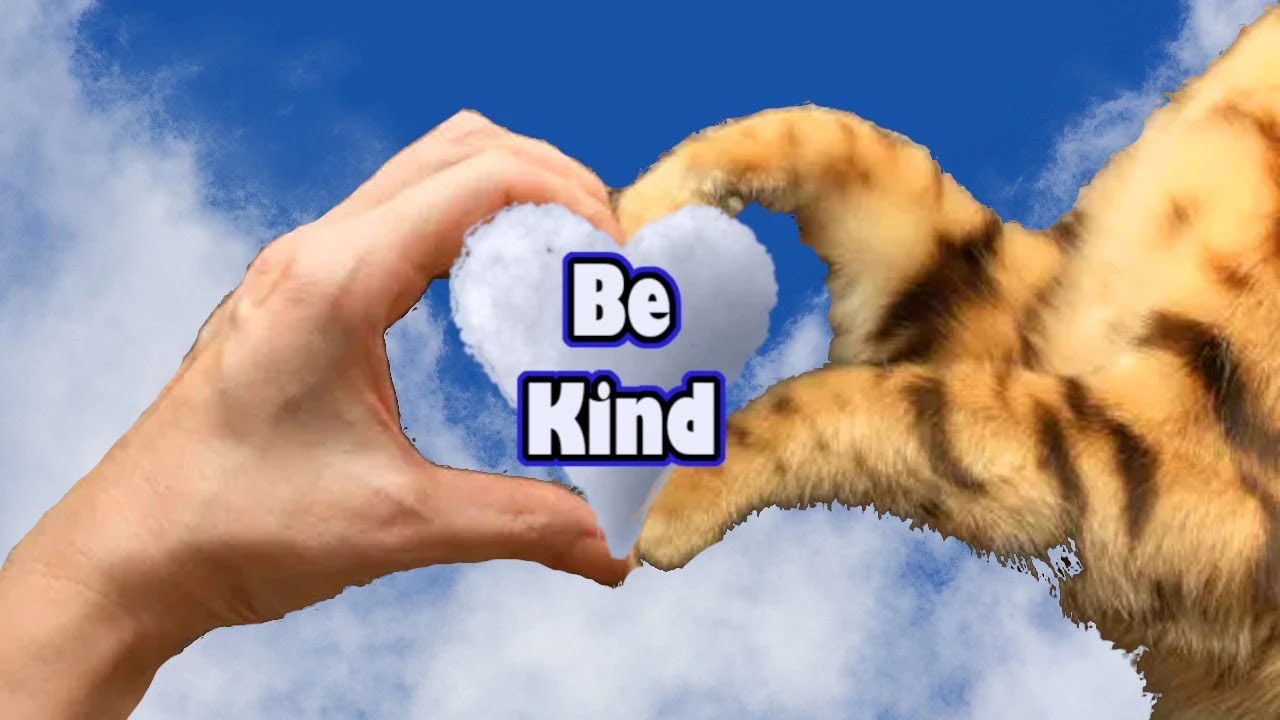 Animal angels 12 Unforgettable Tales of Humans Helping Animals # ...