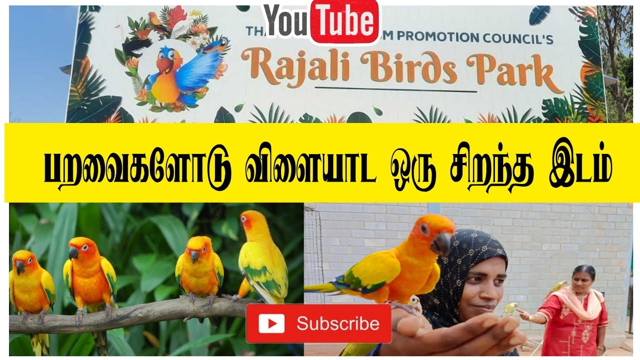 rajaji Bird parks 🦜🪿🐢🦢🕊️🐦‍⬛🐦🐤🦃🦡🐓🐓🐓tanjavur big temple opposite 👌👌👌 ...