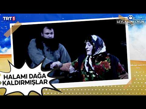 İsmail Abi'nin genleri: \