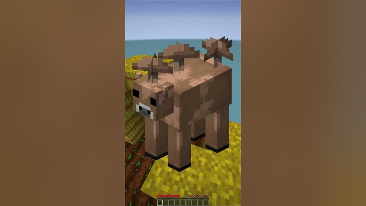 Mobs MÁs Raros Minecraft Youtube