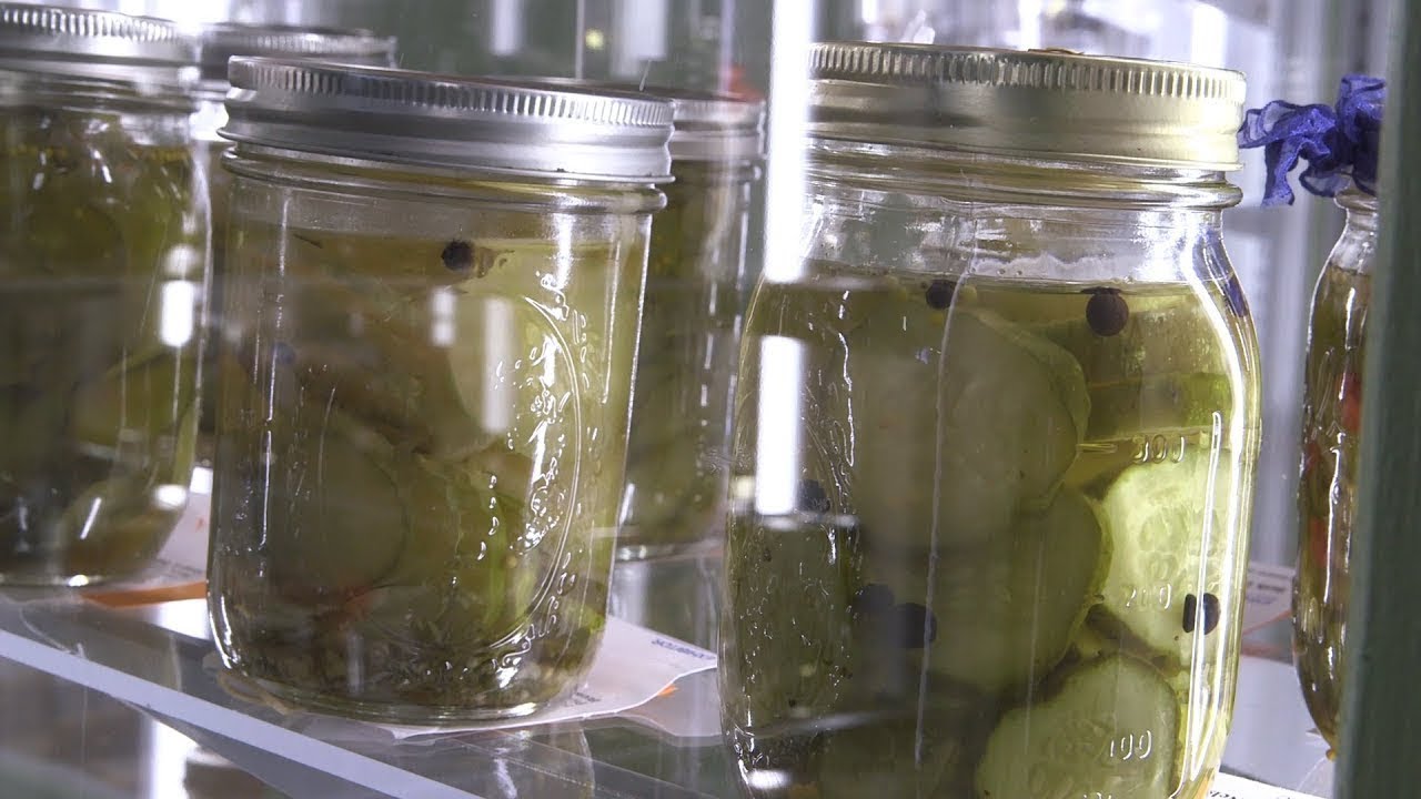 Homegrown | Make Your Own Fresh-Pack Dill Pickles - YouTube