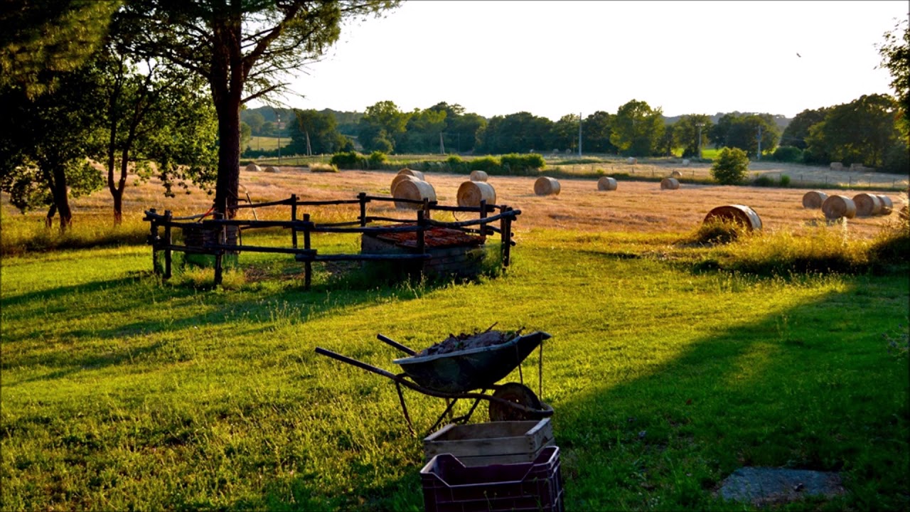 Farm Ambience SFX | Free Sound Effects | Ambient Sounds - YouTube