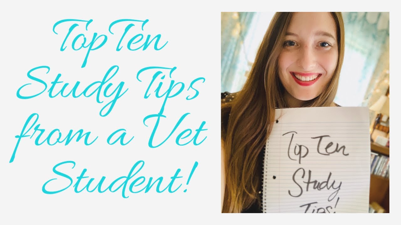 Top Ten Study Tips from a Vet Student! - YouTube