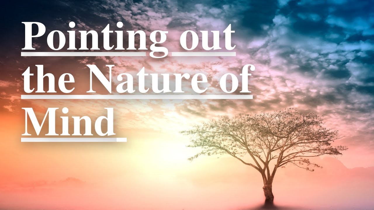 POINTING OUT INSTRUCTIONS for NON DUALITY | No Self Meditation - YouTube