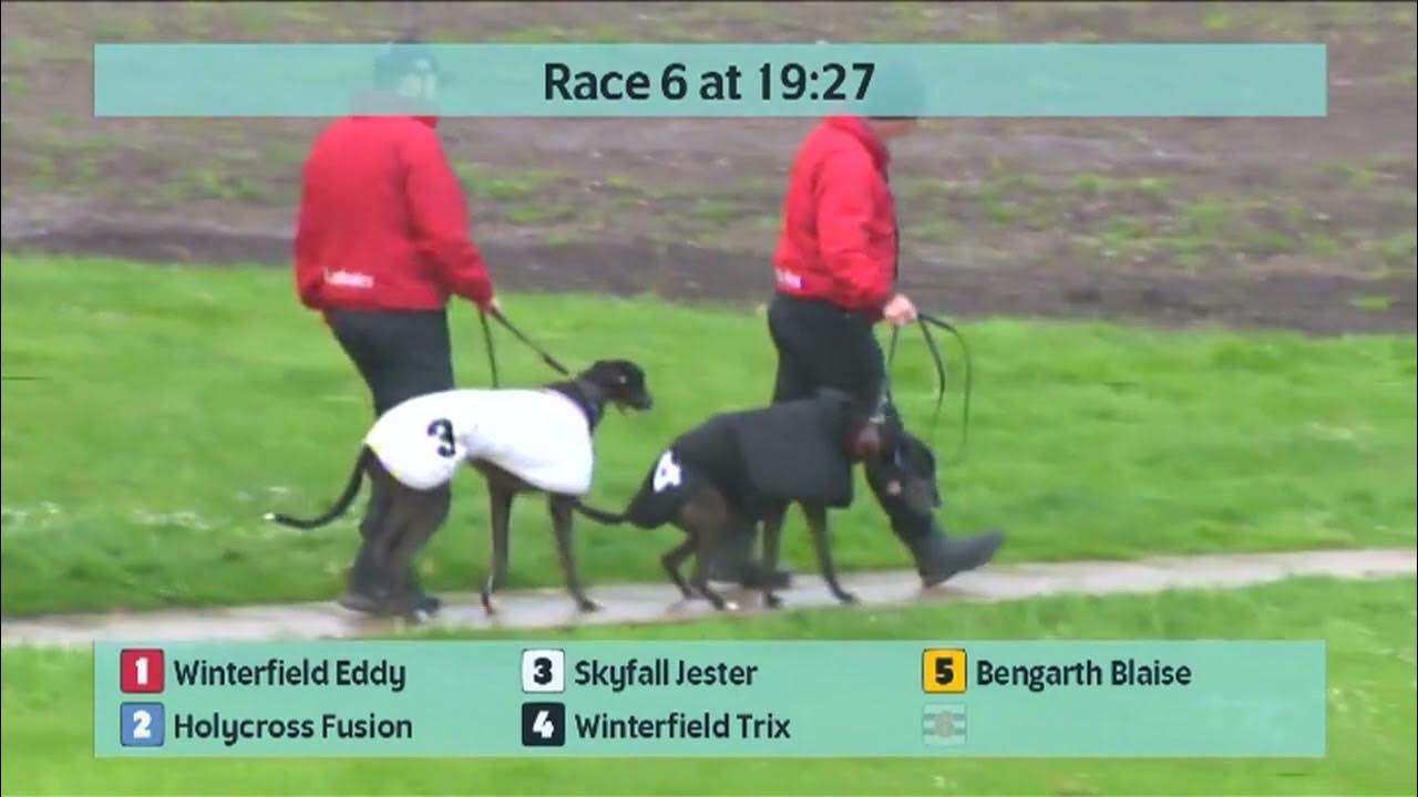 Monmore Greyhounds Races on 16th May 2024 - YouTube Monmore Greyhounds Races on 16th May 2024 - YouTube
