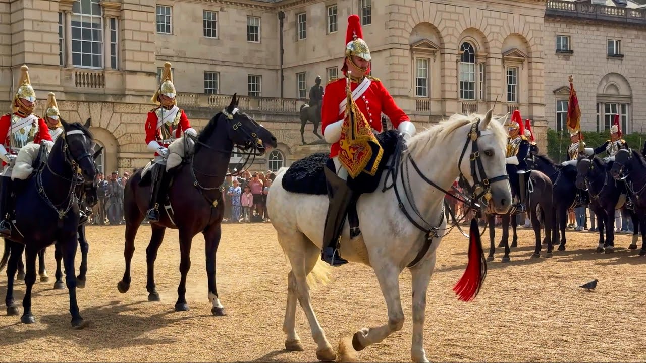 Beautiful King’s White Horse seen on Horse Guards Parade 🇬🇧 - YouTube