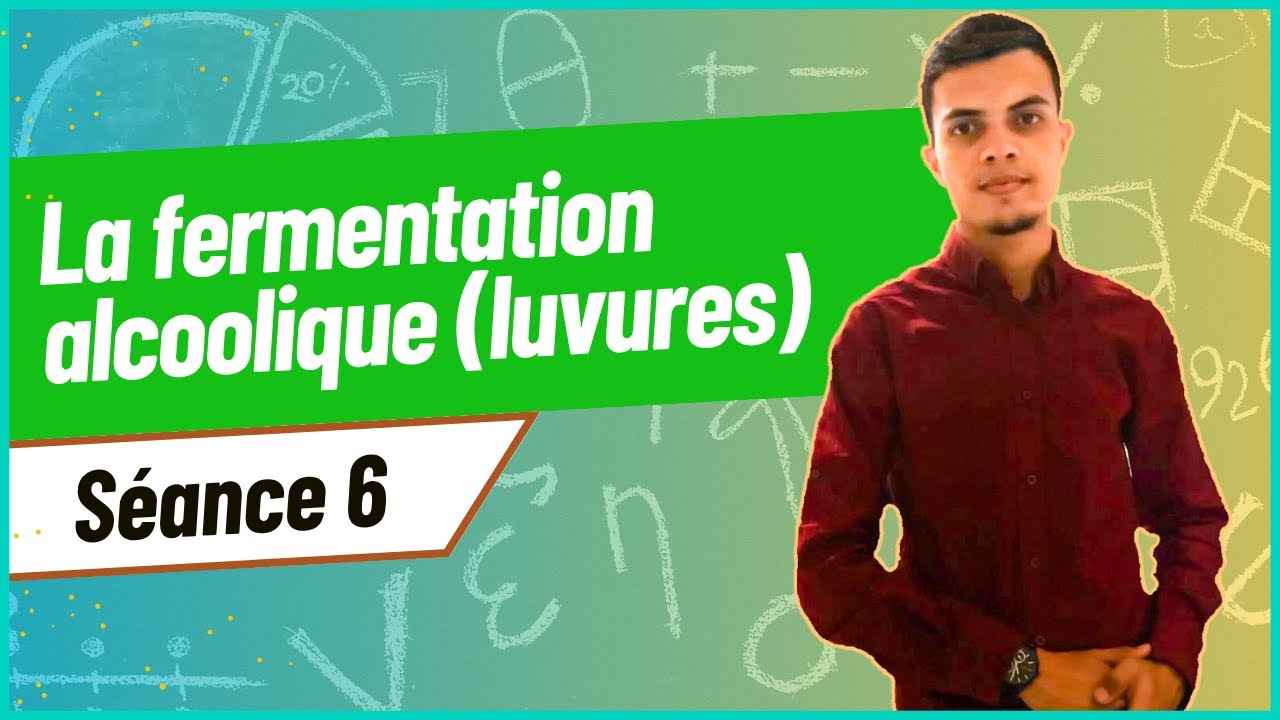 S05 (SVT) : La fermentation alcoolique chez les luvures | تحضير ...