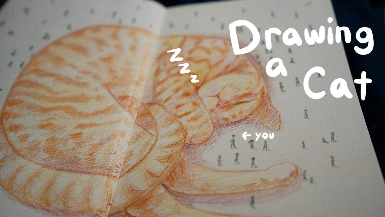 Drawing a orange cat with color pencil - YouTube