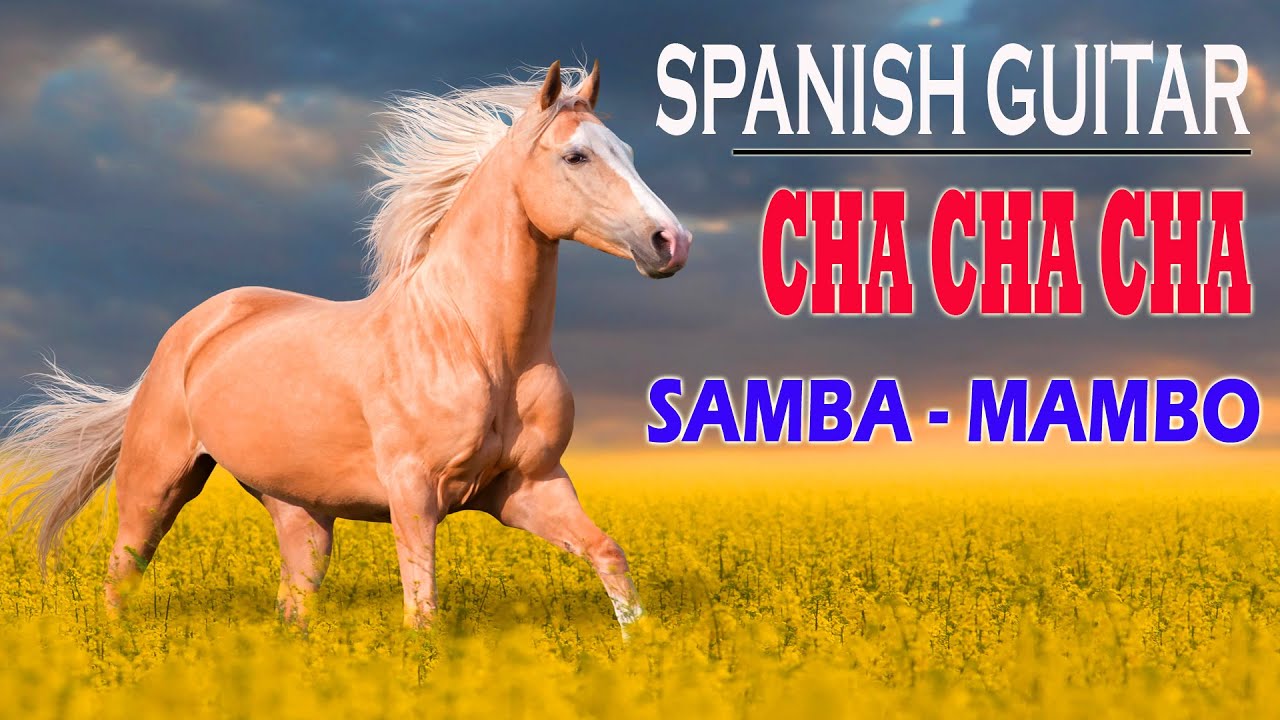 Spanish Guitar \ Cha Cha Cha \ Samba \ MAMBO \ Greatest Guitar MUSIC ...