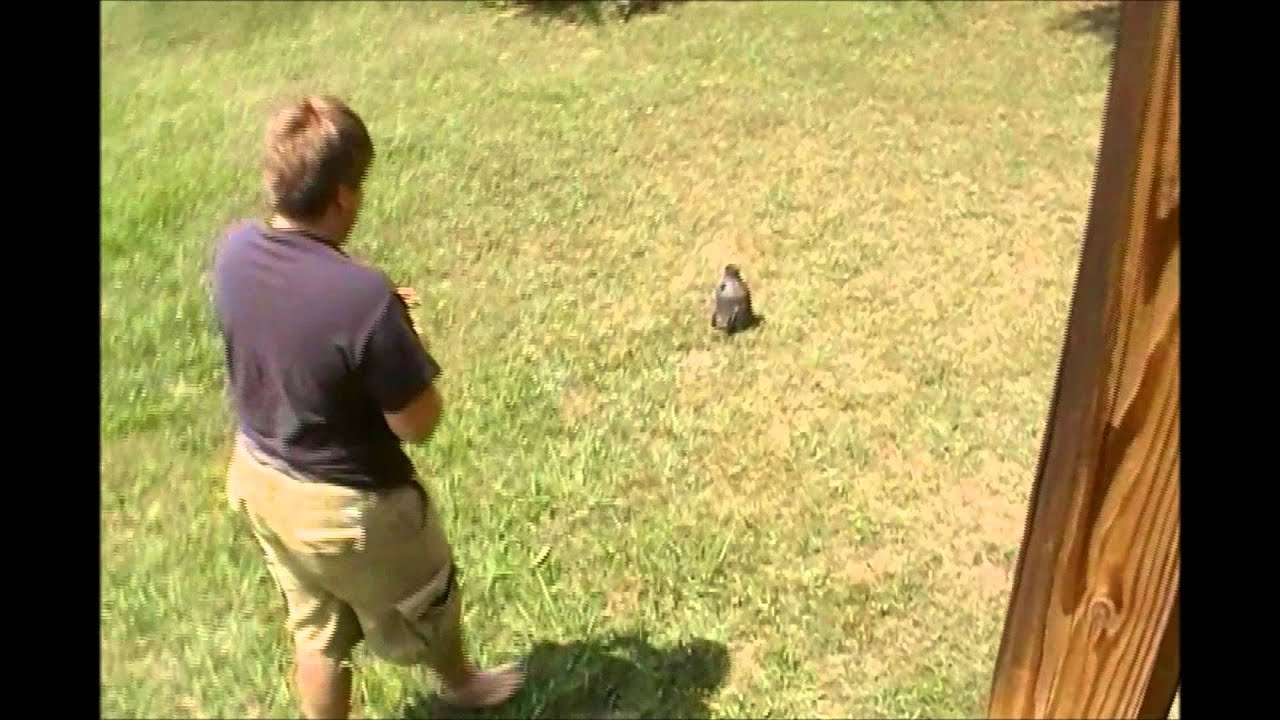 The Whistlin' Bunghole - YouTube