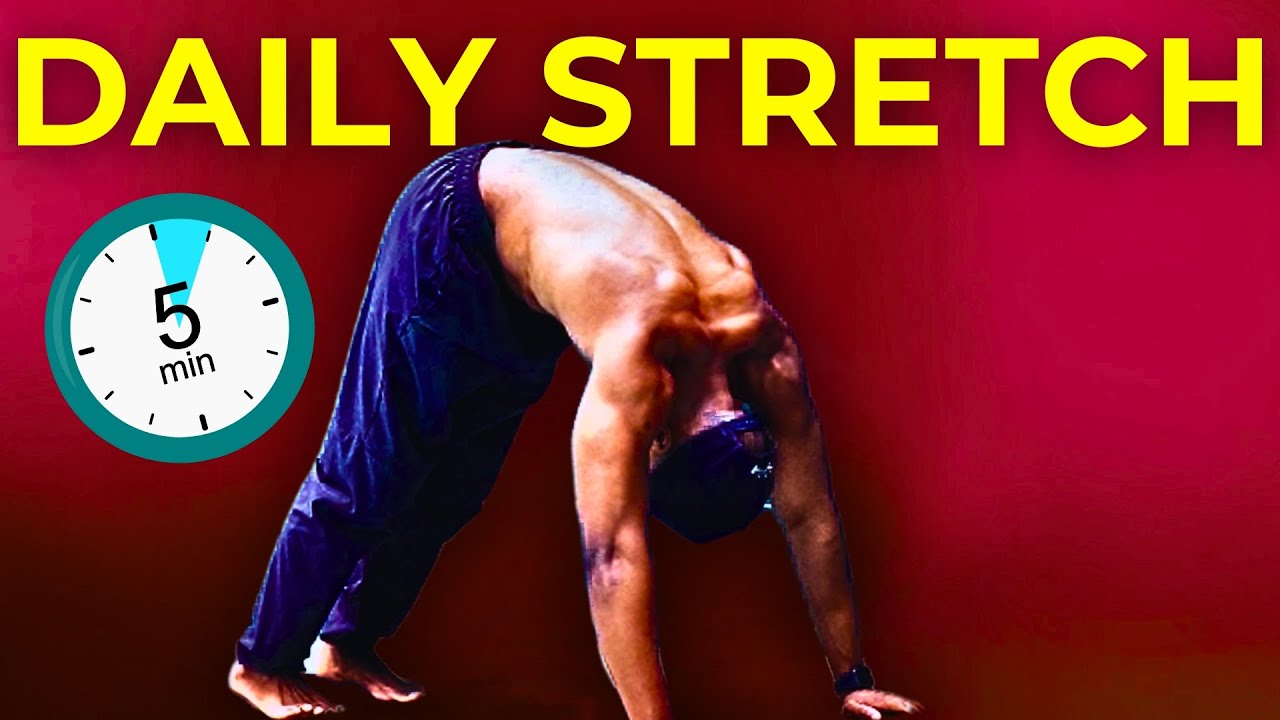 5 MINUTE MORNING STRETCHING EXERCISES | Beginner Friendly - YouTube