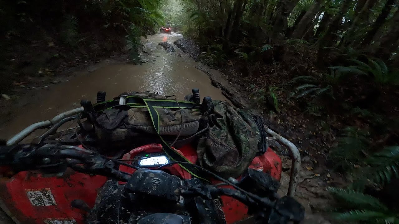 extreme 4x4 quad bike tracks Akatarawa forest New Zealand - YouTube