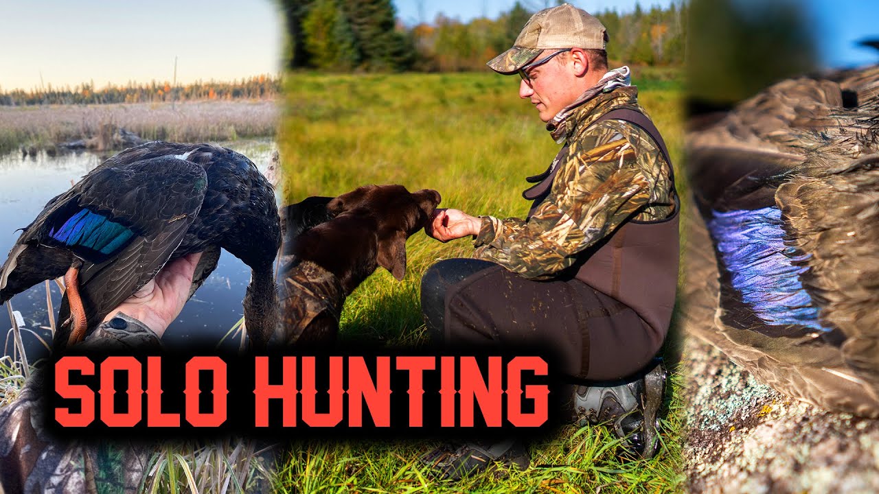 SOLO Duck Hunting On TINY PONDS - YouTube