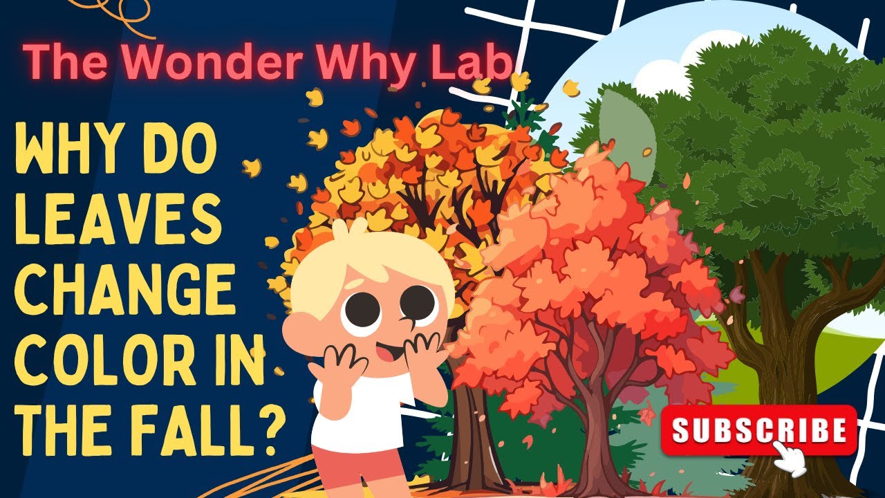 Science for Kids: Why Do Leaves Change Color in the Fall? | The Wonder ...