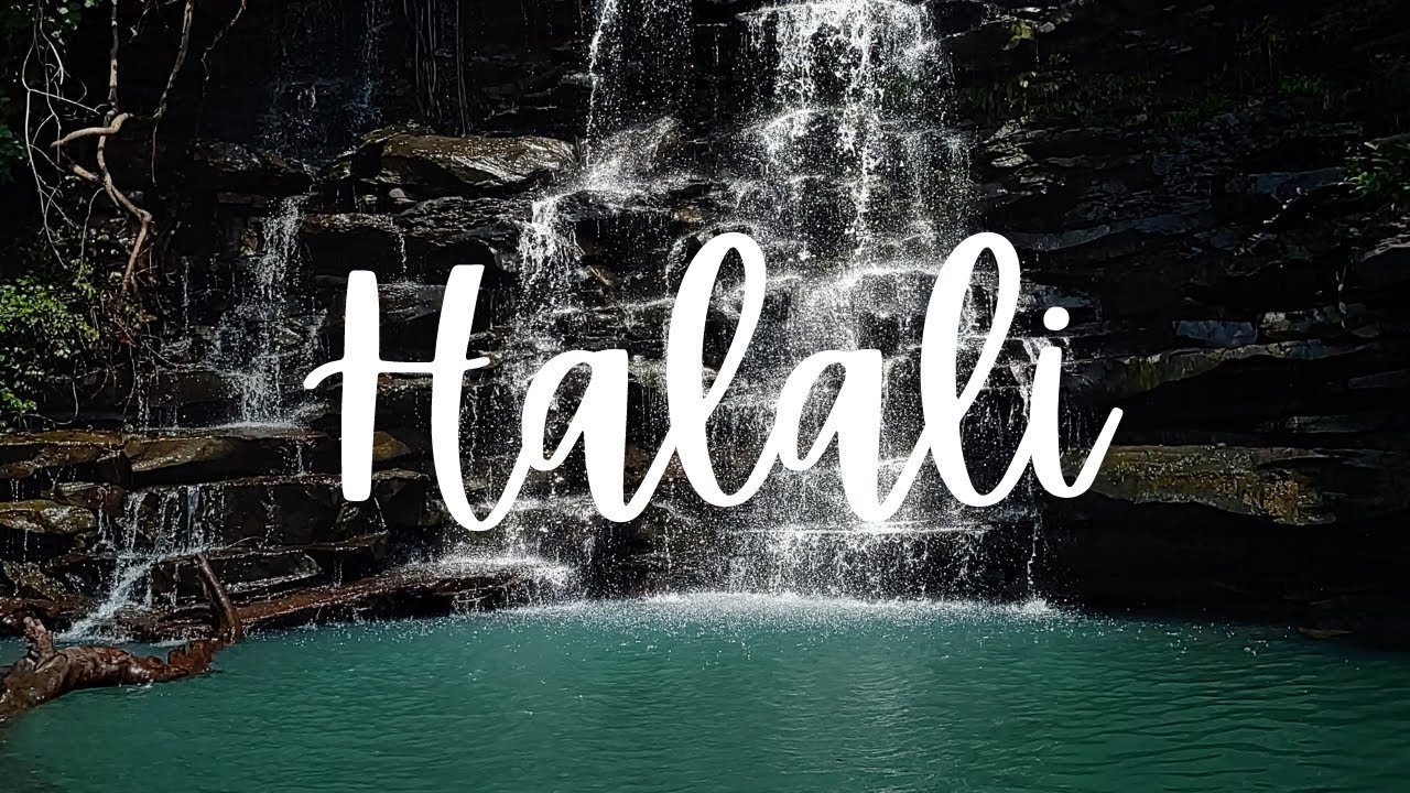 Adventure at Halali Waterfall: A Trek to Paradise - YouTube